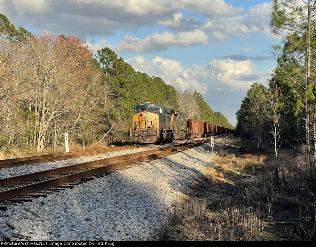 CSX 3165 & 115